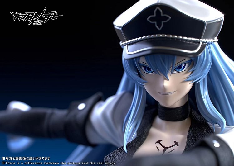 Manta Studio - Akame ga Kill Esdeath 1/6 Statue(GK)