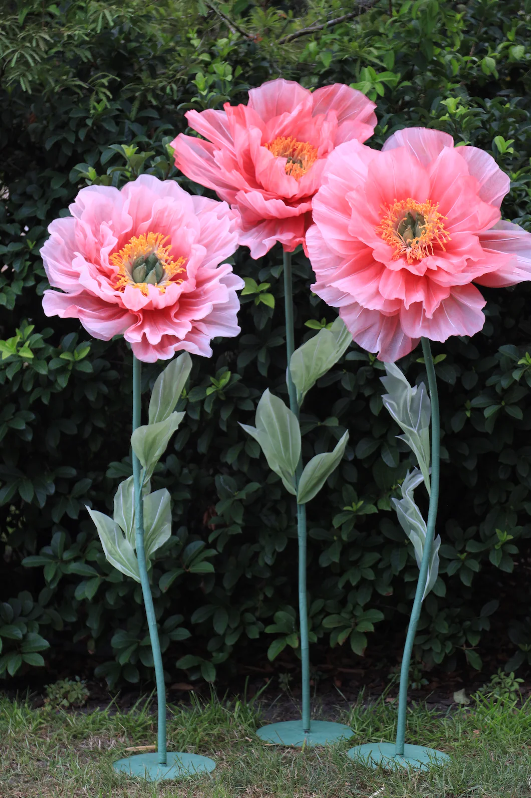 Giant Peonies in Vibrant Shades of Pink – magetavi