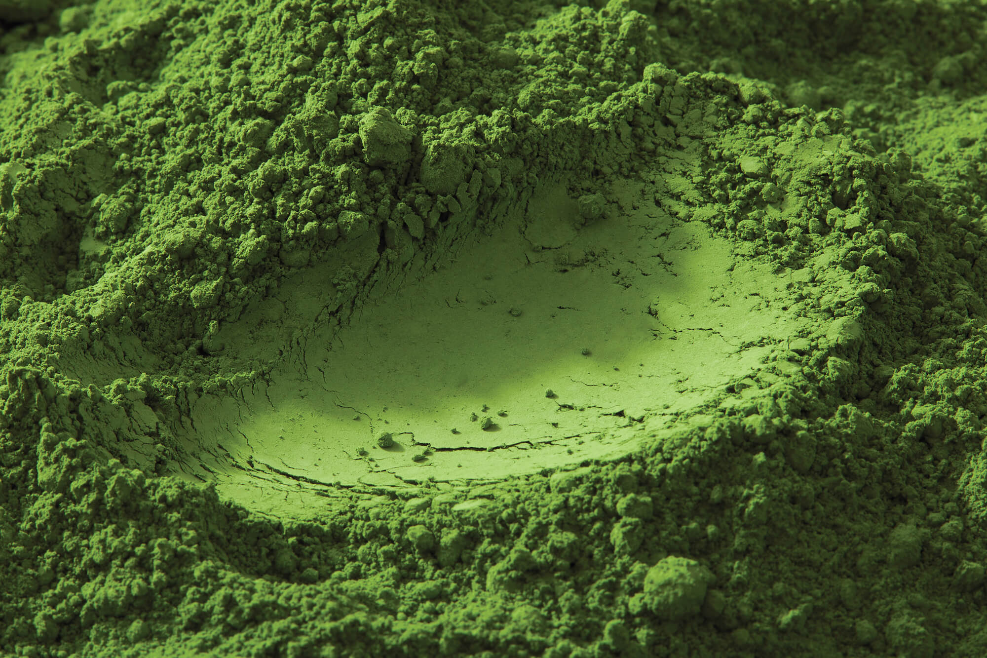 Understanding Matcha Cultivars: A Guide to Taste and Origin | AVANTCHA ...
