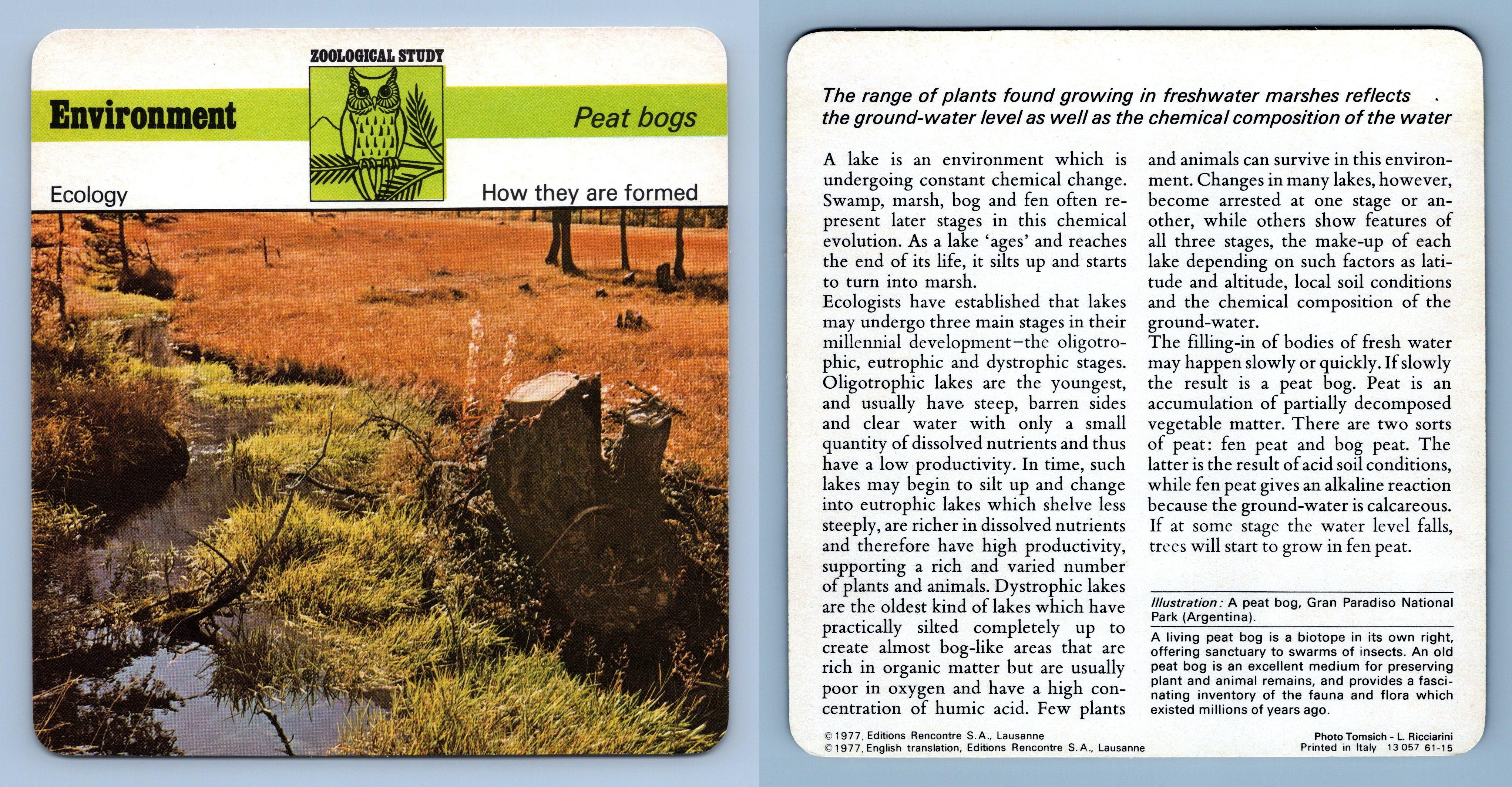 How They're Formed Peat Bogs Zoological Study Environment Safari Wildl ...