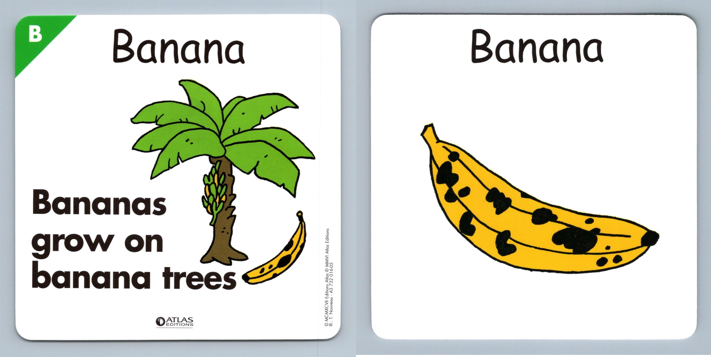 Banana - B - Atlas Editions Play & Learn Flash Card – Breakoutcards