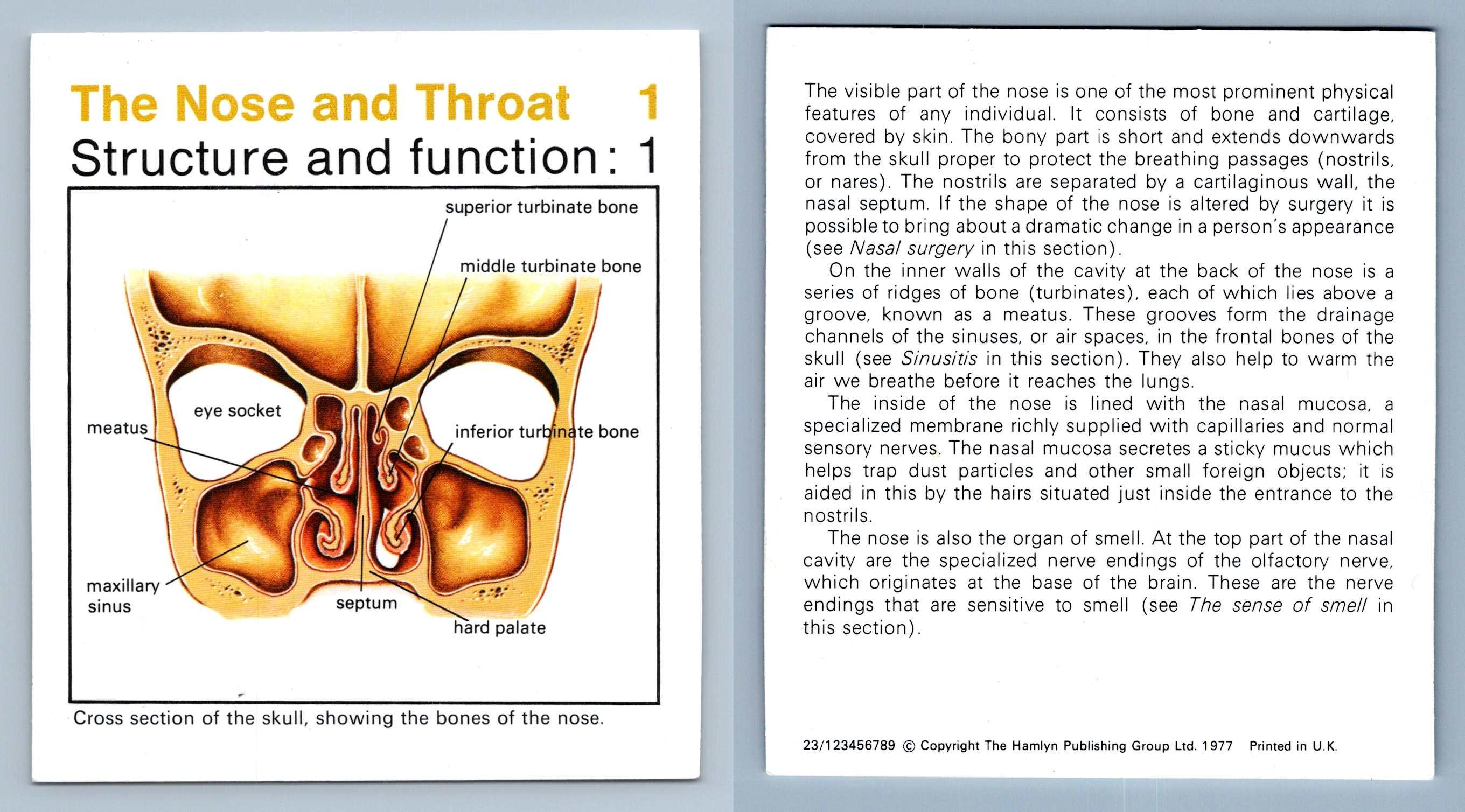 Structure & Function #1 Nose & Throat Home Medical Guide 1975-8 Hamlyn ...