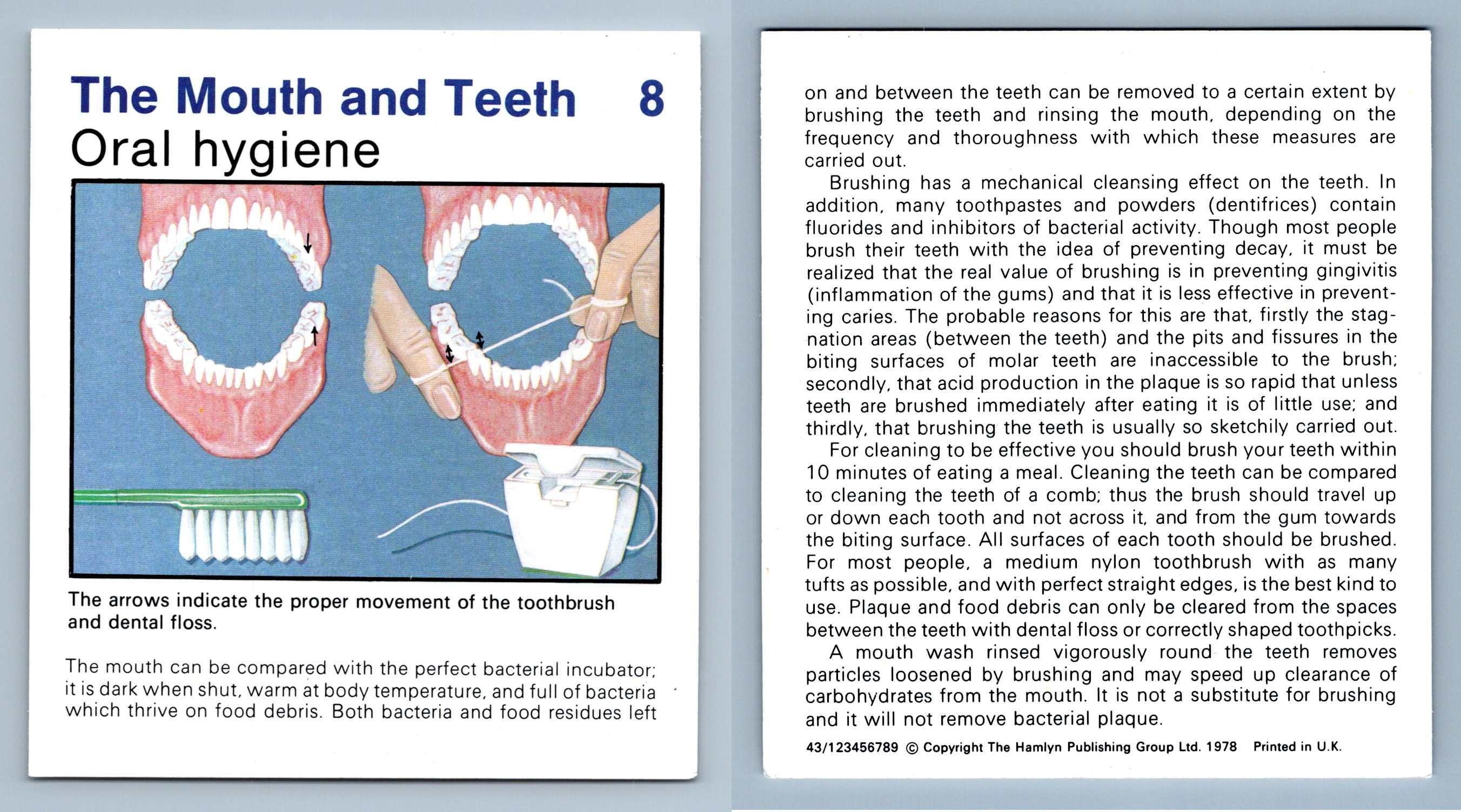 Oral Hygiene #8 Mouth & Teeth Home Medical Guide 1975-8 Hamlyn Card ...