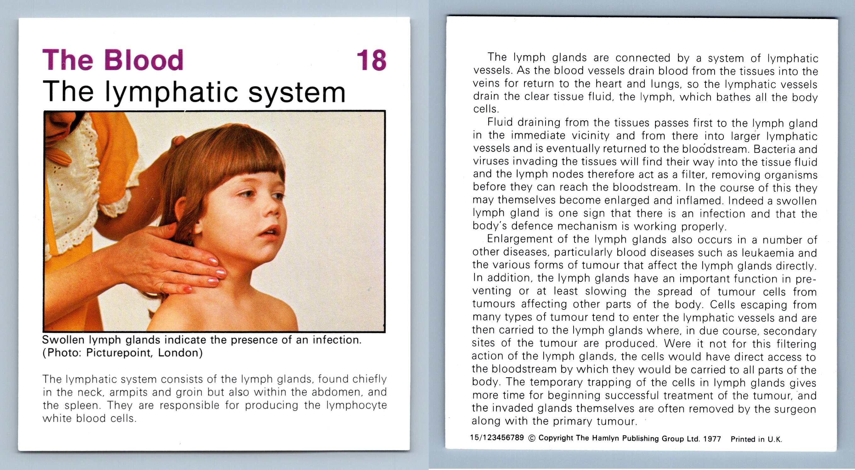The Lymphatic System #18 Blood - Home Medical Guide 1975-8 Hamlyn Card ...