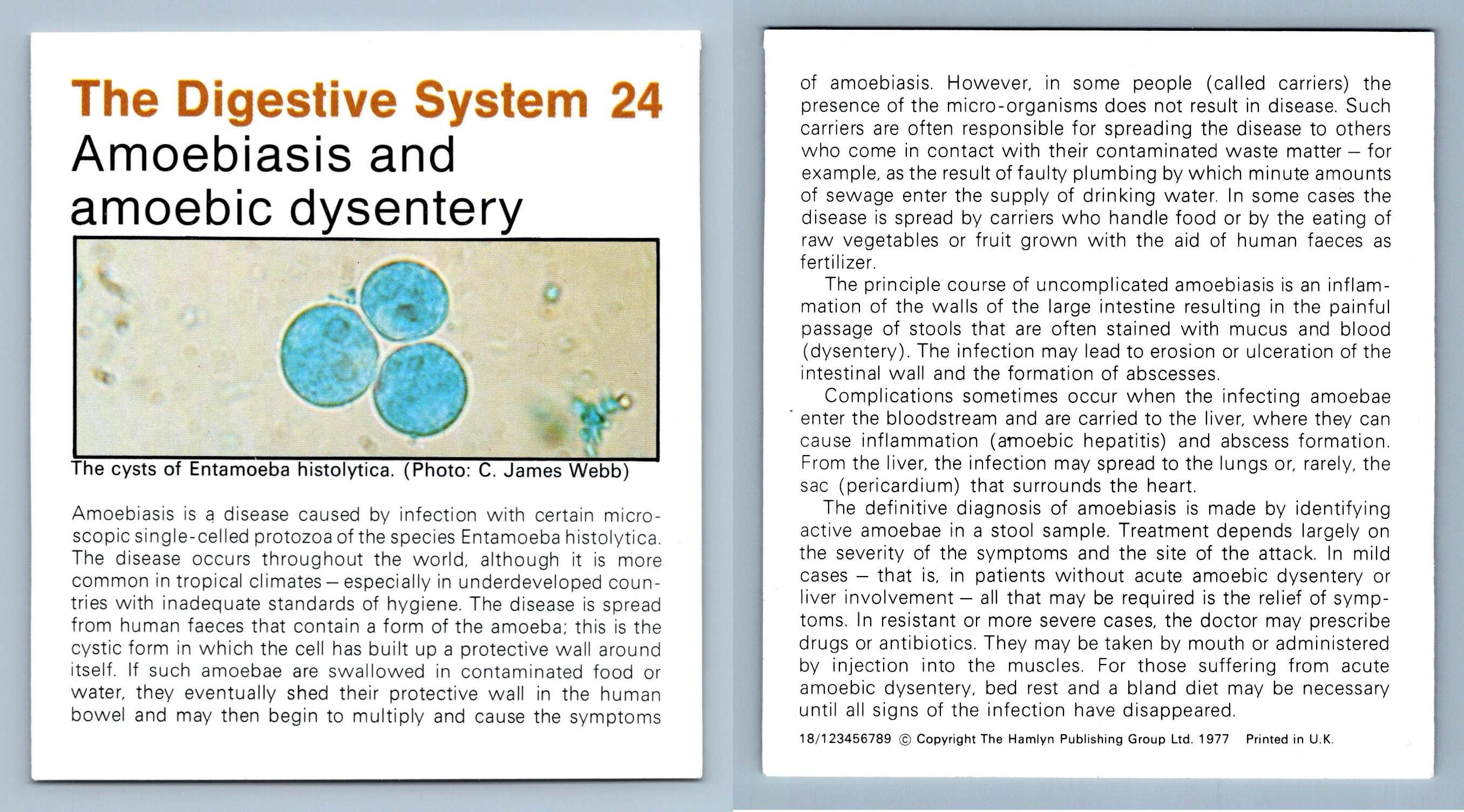 Amoebiasis & Amoebic Dysentery #24 Digestive Home Medical Guide 1975 H ...