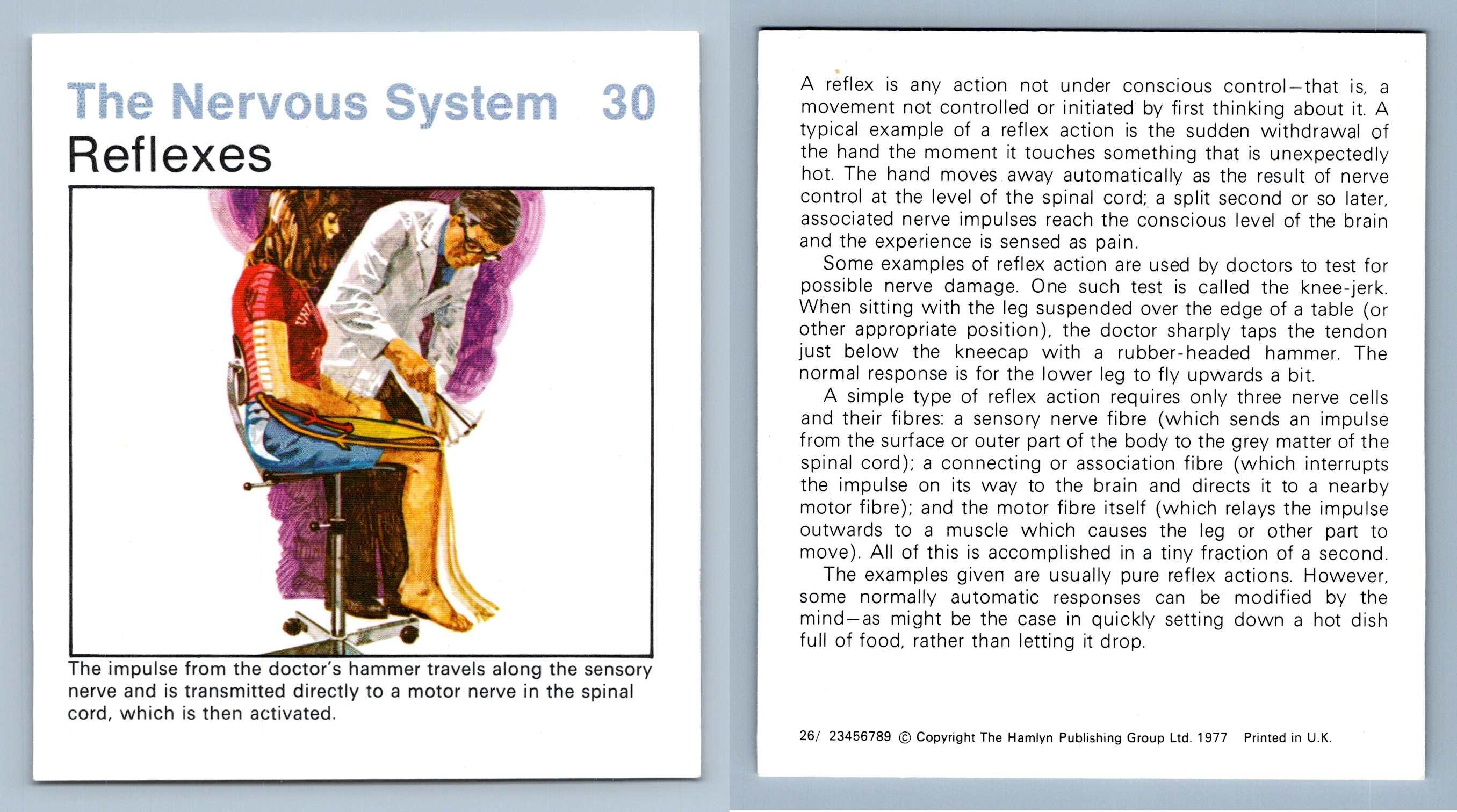 Reflexes #30 Nervous System Home Medical Guide 1975-8 Hamlyn Card ...