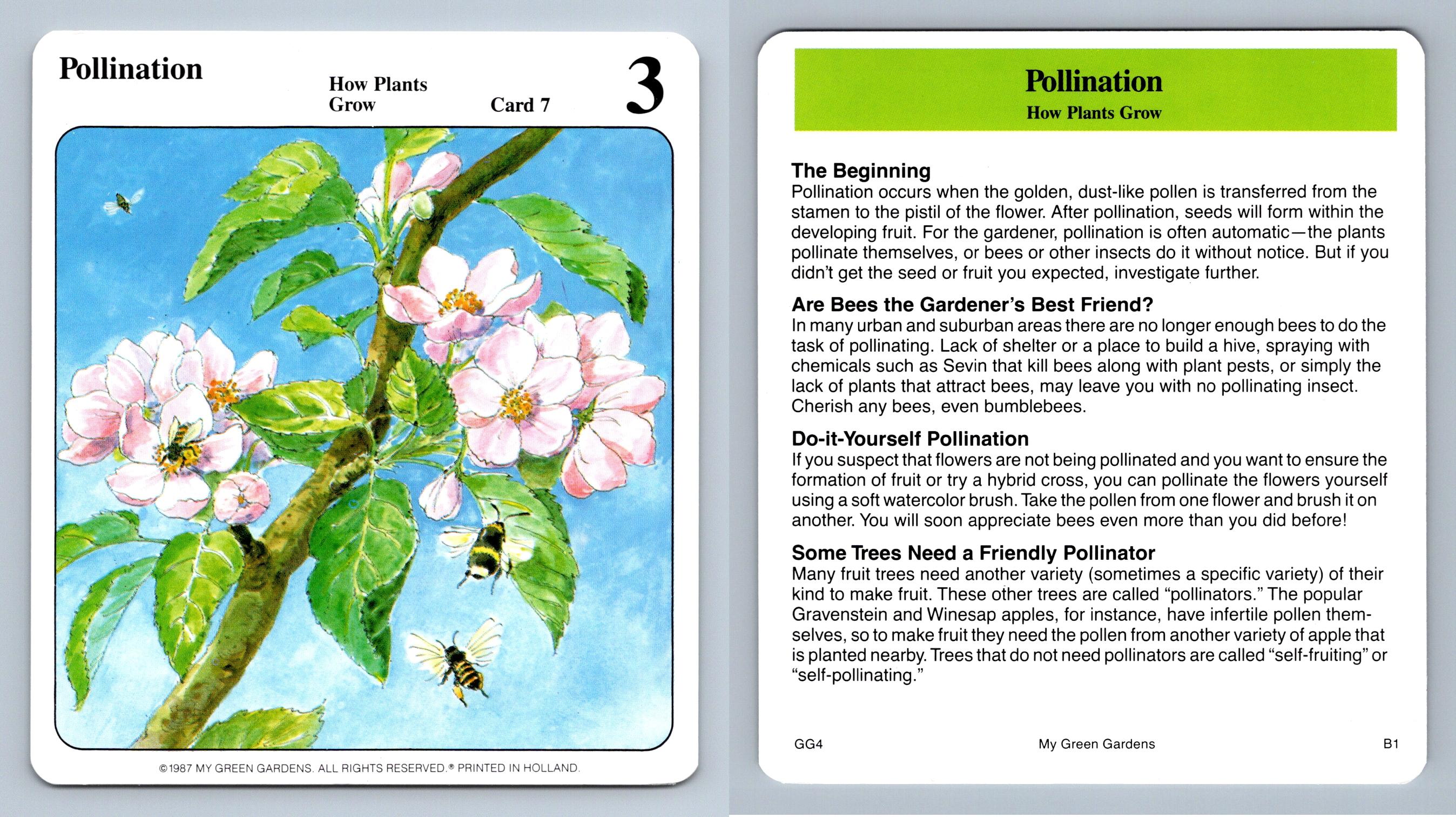 Pollination #7 Grow - My Green Gardens 1987 Cardmark Card – Breakoutcards
