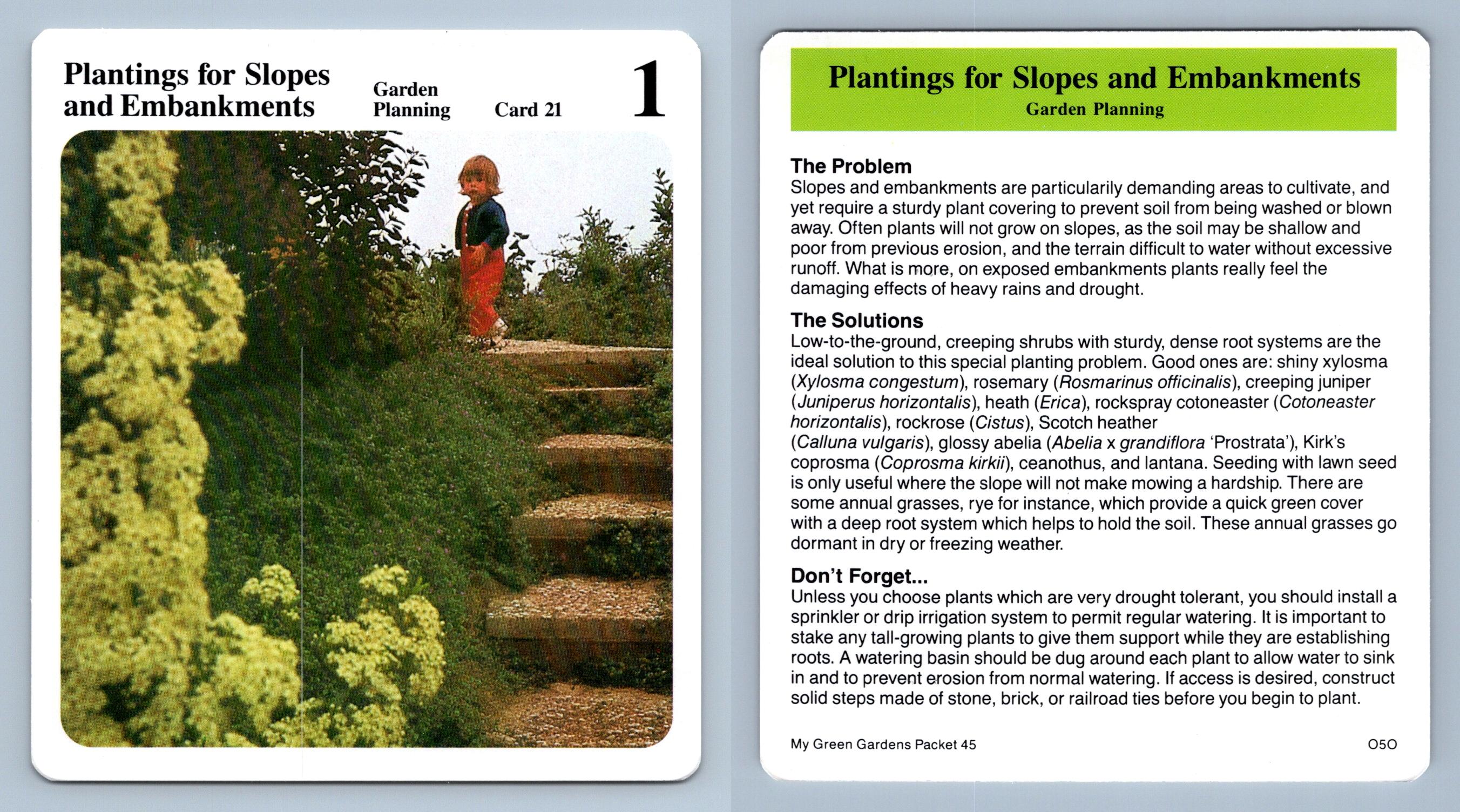 Planting Slopes Embankments#21 Garden Planning - My Green Gardens Card ...