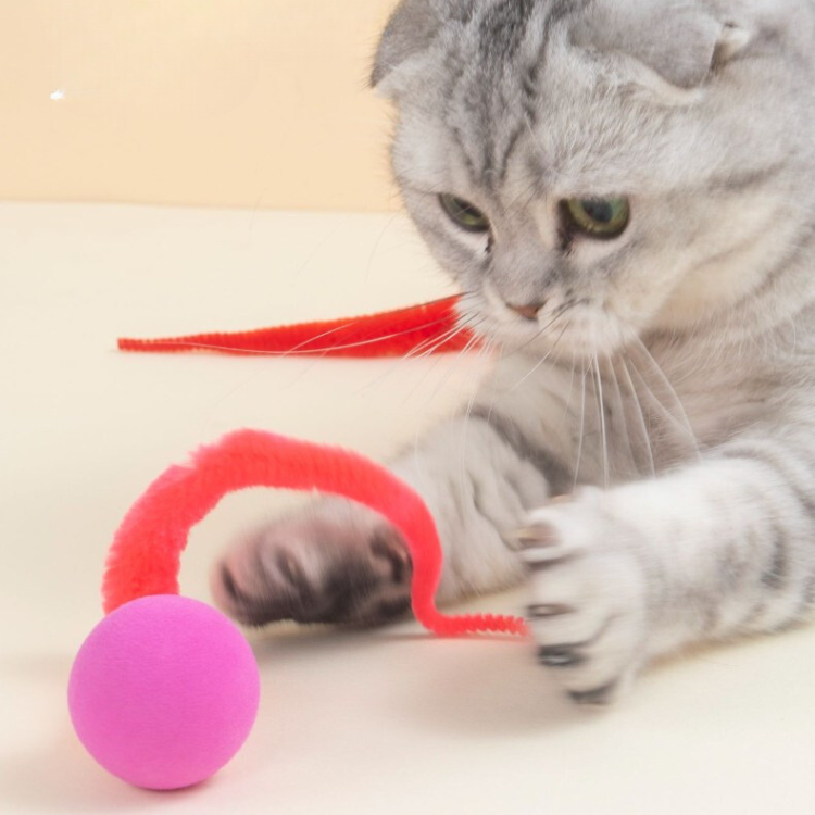 Elastic Ball Caterpillar Cat Toys – NucbnClub