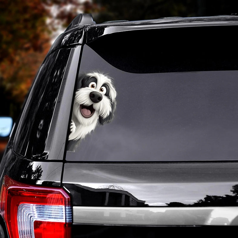 Car Sticker – Relaxpact