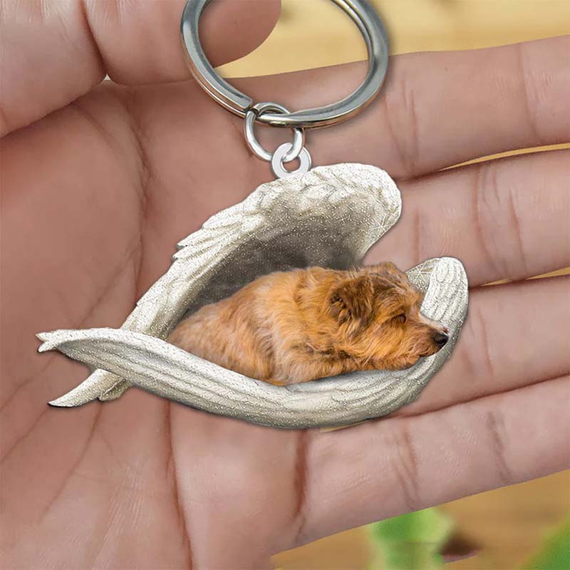 Sleeping Angel Acrylic Keychain Norfolk Terrier SA148 – Relaxpact