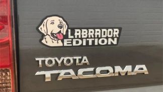 Labrador Car Badge Laser Cutting Car Emblem CE004 – Voowow