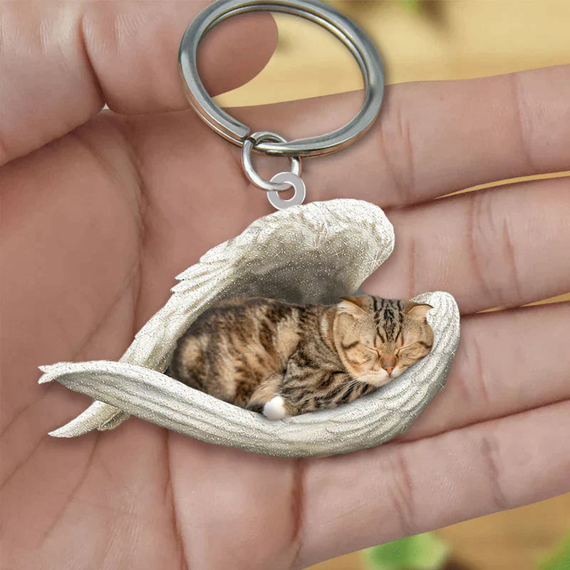 Sleeping Angel Acrylic Keychain Scottish Fold Cat – Easchee