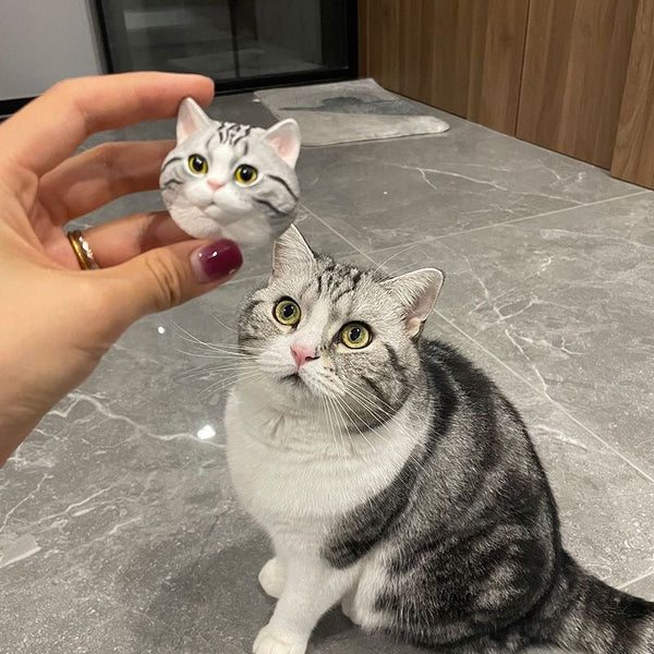 Personalized cat and dog plaster heads – Loamiee