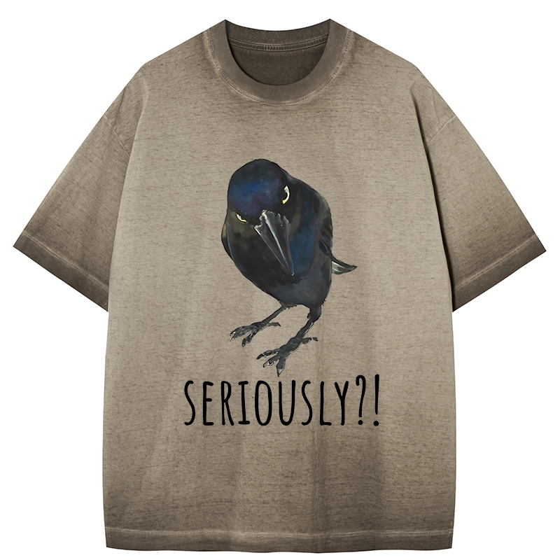 Tokyo-Tiger Raven's Question Gradient Washed T-Shirt – tokyo-tiger