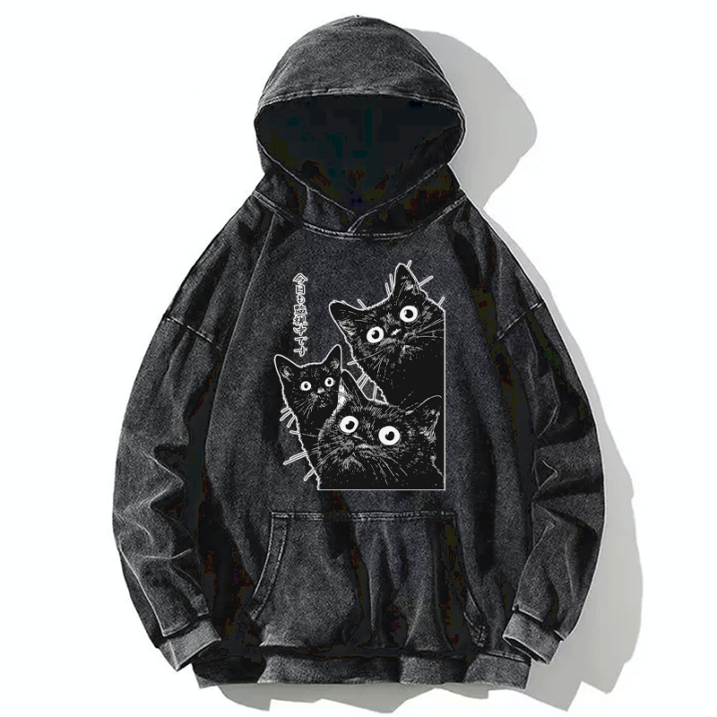 Tokyo-Tiger Three Cats Are Watching You Today Washed Hoodie – tokyo-tiger