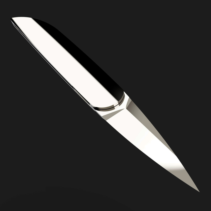 MIRRORNEX | Precision Mirror-Finished Folding Knives