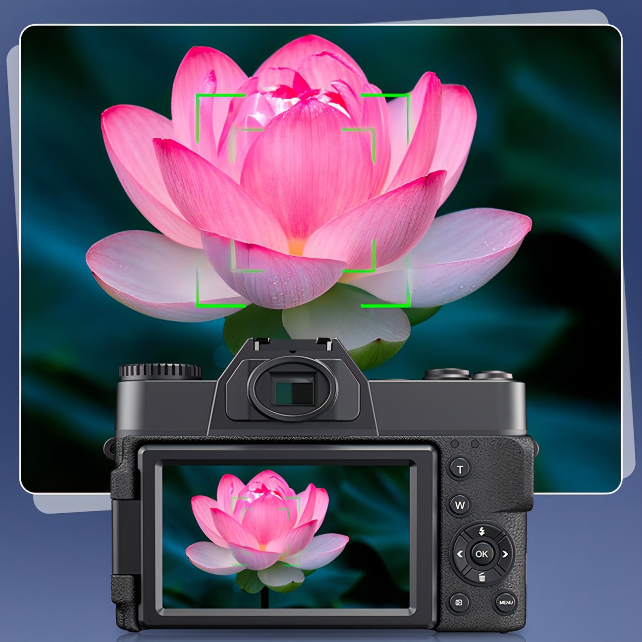 Norwiss Digitale Camera – Norwiss NL