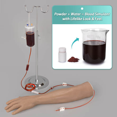 Phlebotomy Practice Arm Kit Dark Skin IV Arm – MedEduQuest