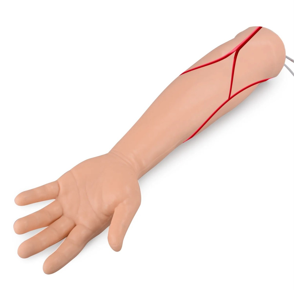 IV Injection Arm for Phlebotomy Venipuncture Cannulation Practice ...