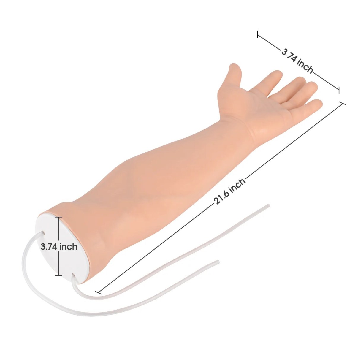 IV Injection Arm for Phlebotomy Venipuncture Cannulation Practice ...