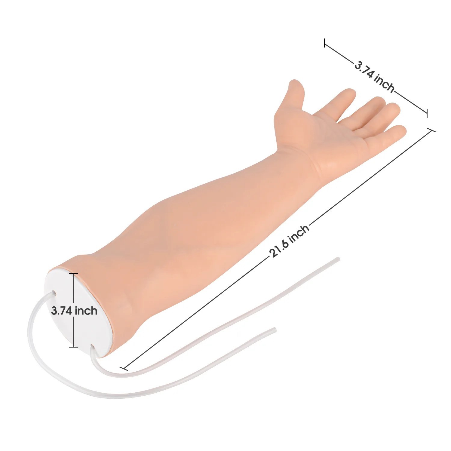 IV Injection Arm for Phlebotomy Venipuncture Cannulation Practice ...