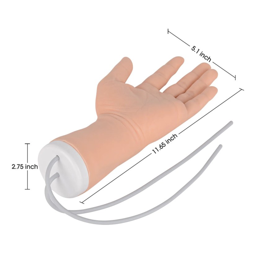 Venipuncture and IV Practice Hand Kit, Adult – MedEduQuest