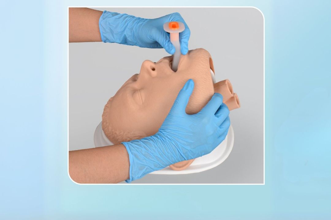 OPA and NPA Insertion: How to Measure, Insert, and Use Them Properly ...