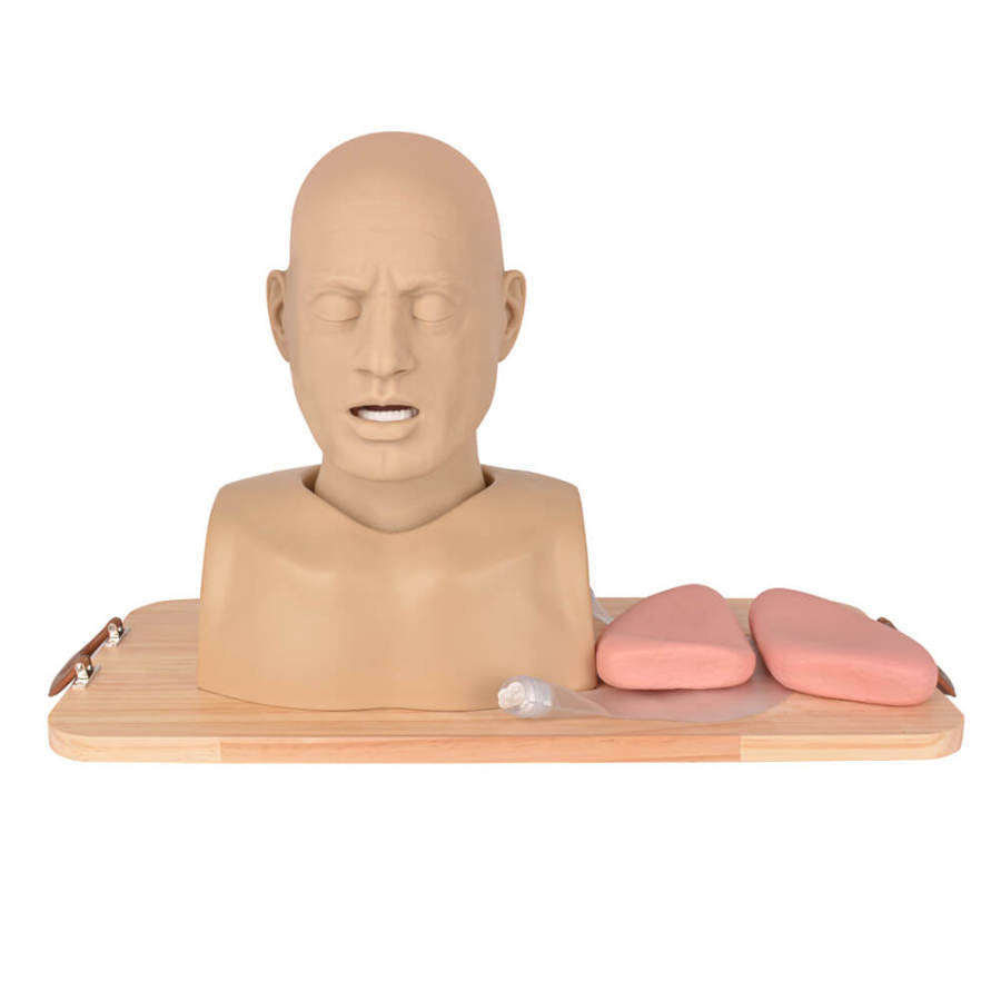 Airway Management Trainers & Manikins – MedEduQuest