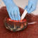 Covered Incision Wound Bleeding Control Training Kit – MedEduQuest