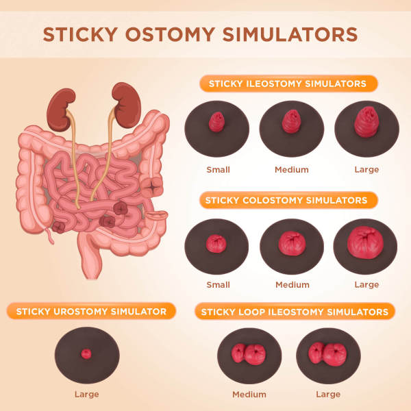 Sticky Ostomy Stoma Care Training Models Set, Multi-Skin Tone – MedEduQuest