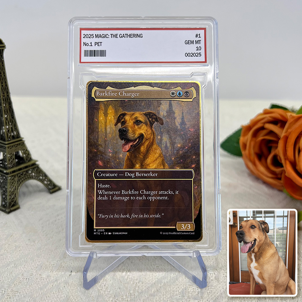 Pokemon Card – hicustore.co