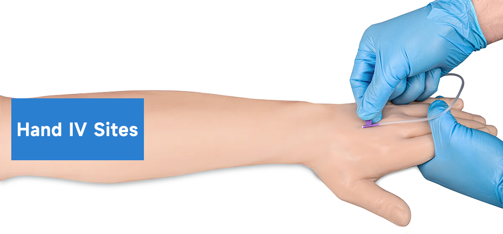 Hand IV Sites: A Comprehensive Guide – SimCoach