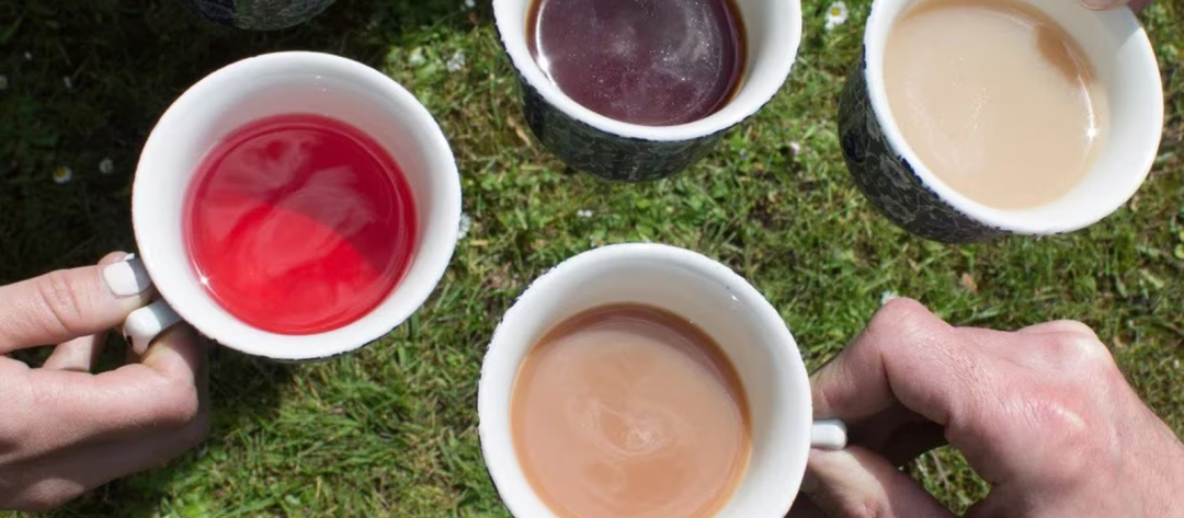 Types of Tea: A Guide to Different Tea Varieties – Burleigh Pottery
