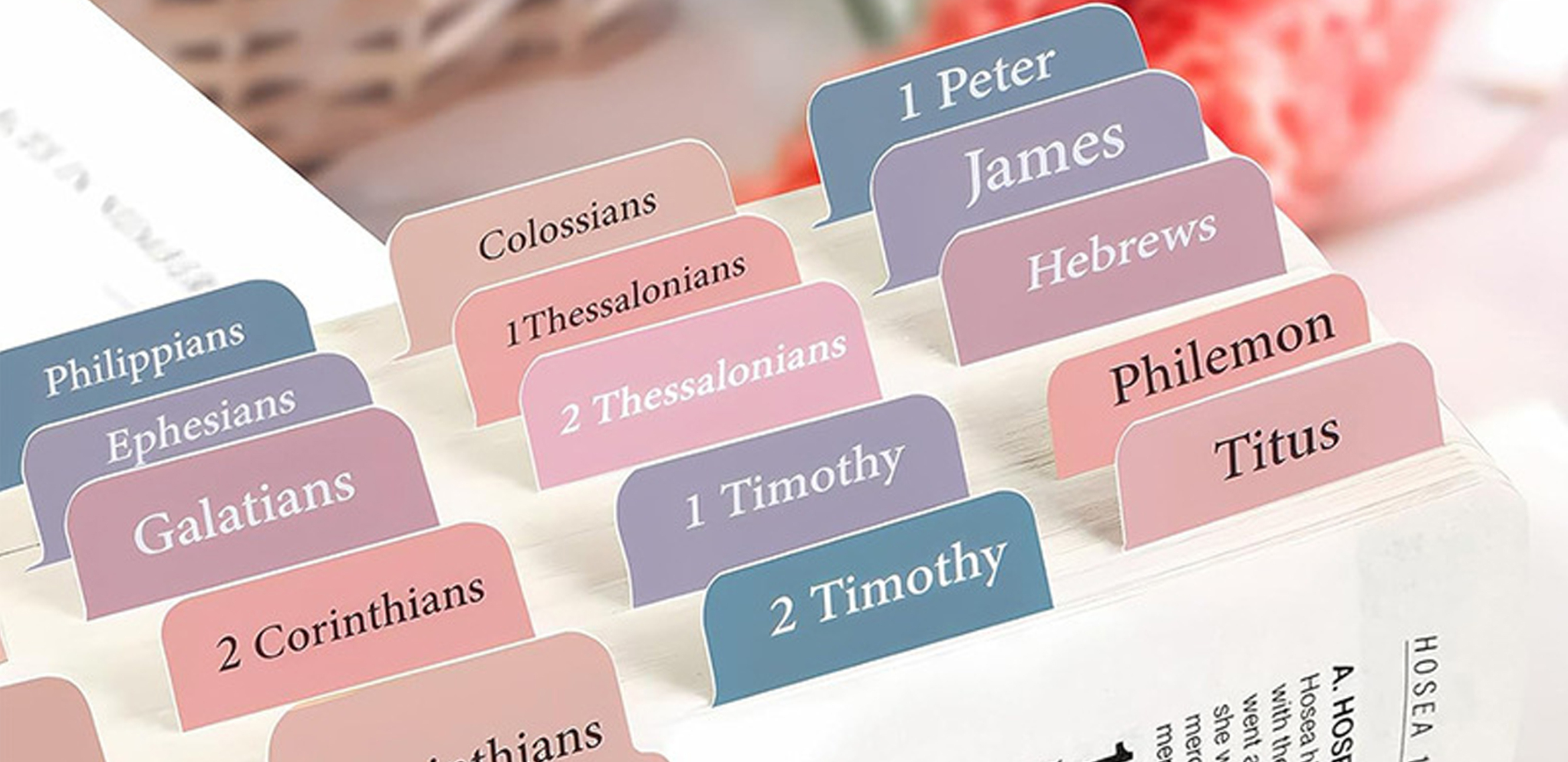 Bible Tabs | Bible Tabs Large Print | Christian Gifts for Women & Men ...
