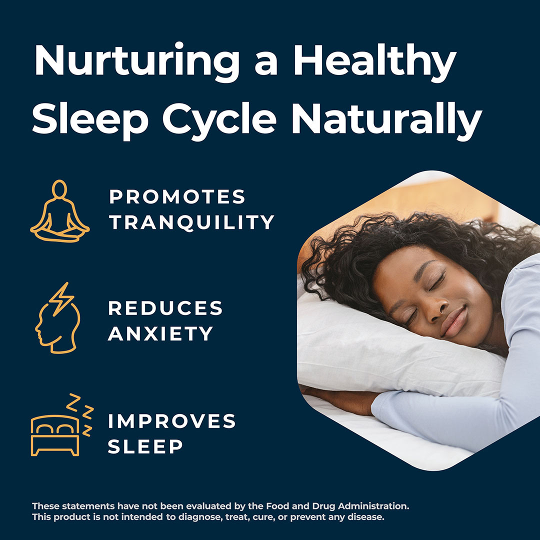 Slumber Shots Sleep Gummies – Sugar-Free Bedtime Support-SEATTLE GUMMY ...