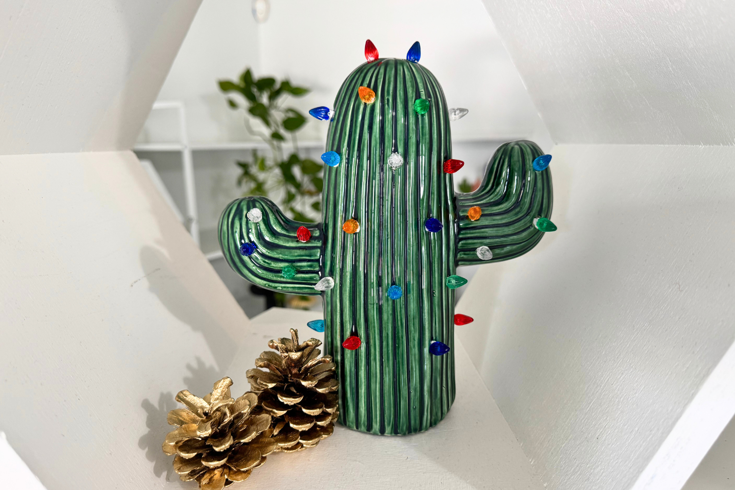 Medium Ceramic Cactus Tree Light