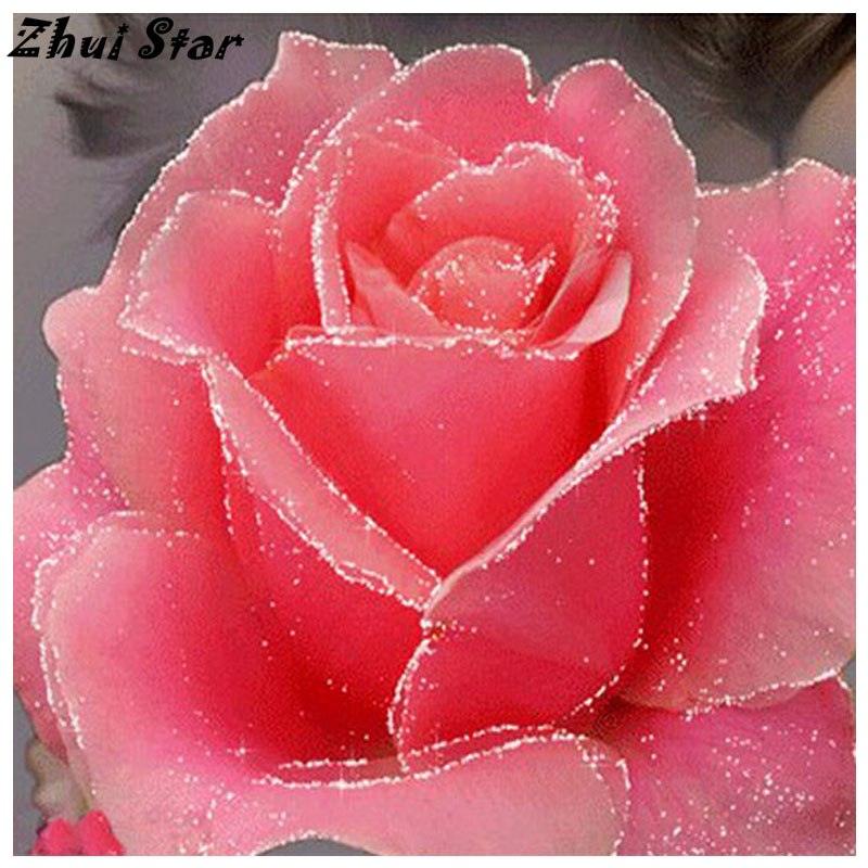 Red Rose 5D DIY Paint By Diamond Kit – Original Paint By Diamond
