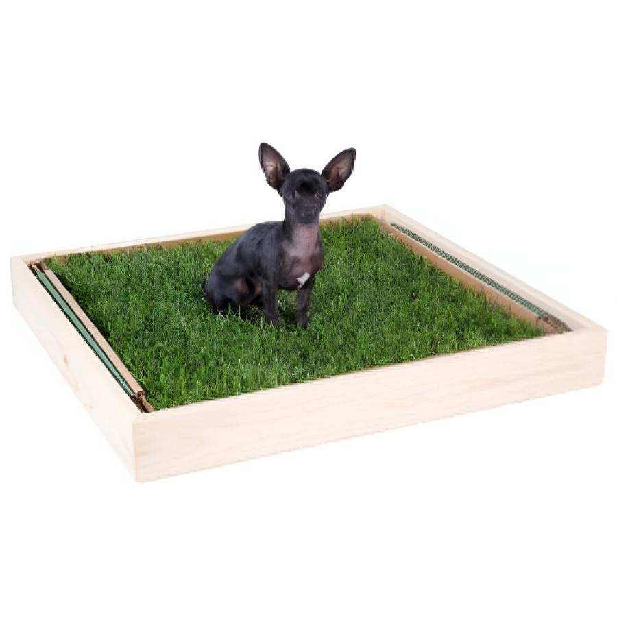 Large Patch Real Grass Dog Waste Box – Paw Print Pad