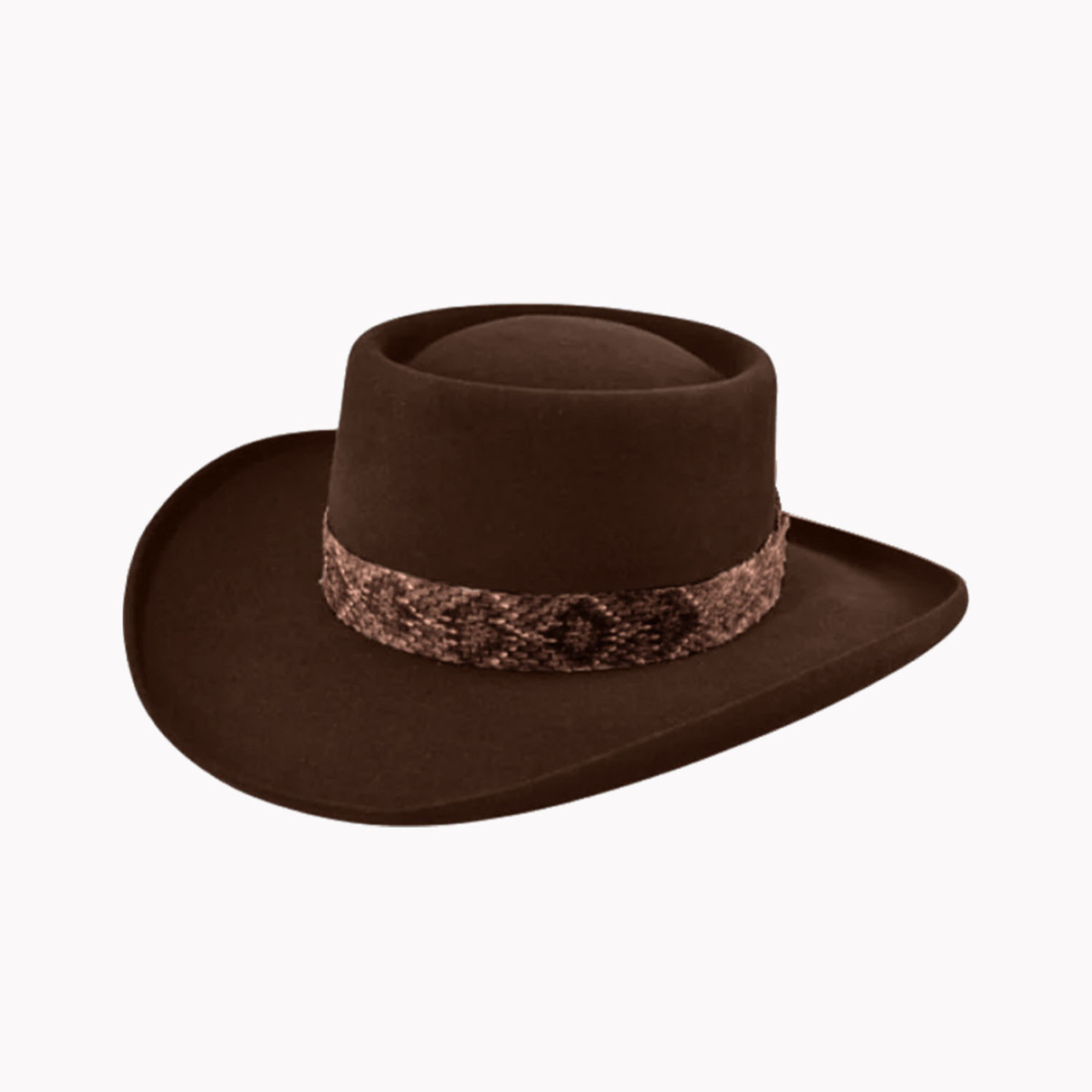 Southern Rock Hat | Ronnie Van Zant Hat – Brimsworth