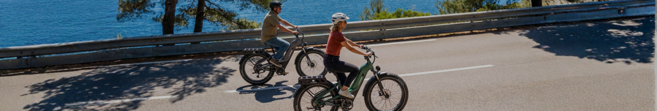 Ebikes – CYCROWN