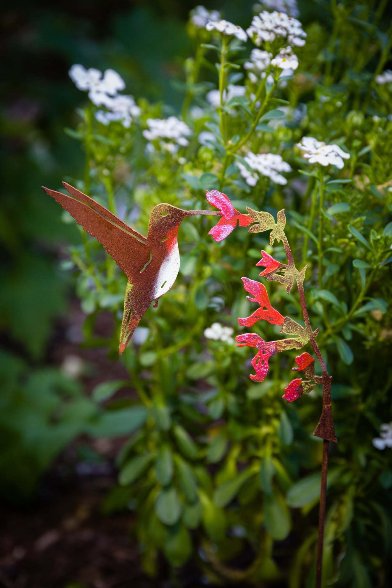 Hummingbird on Salvia Flower Pick - Painted – theterrapulse