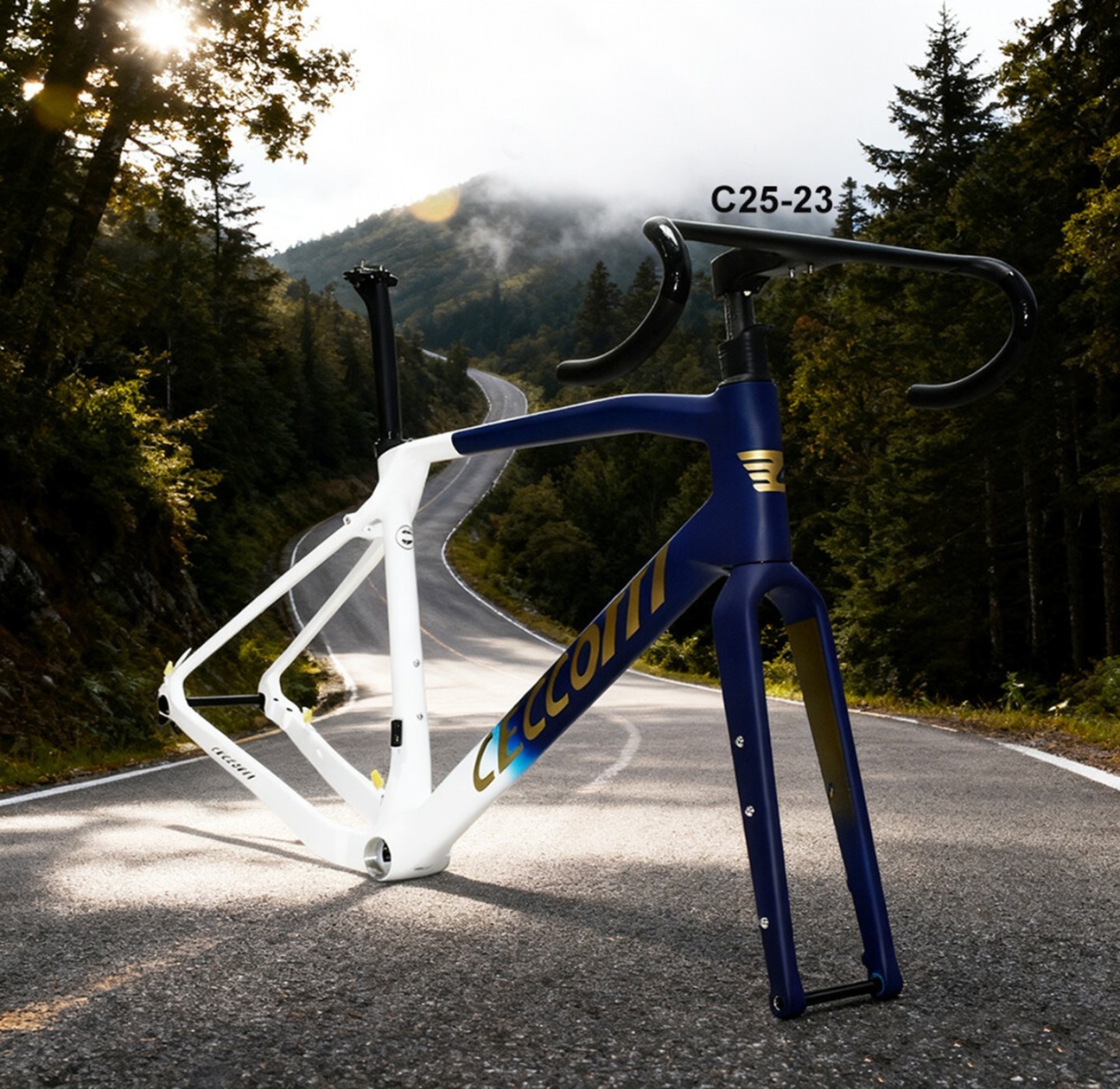 Carbon bicycle Framest – Ceccotti Carbon Bicycle