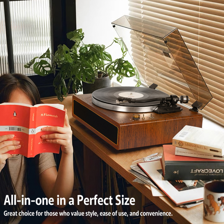 Vintage All-In-One Record Player R517 with High Fidelity Sound