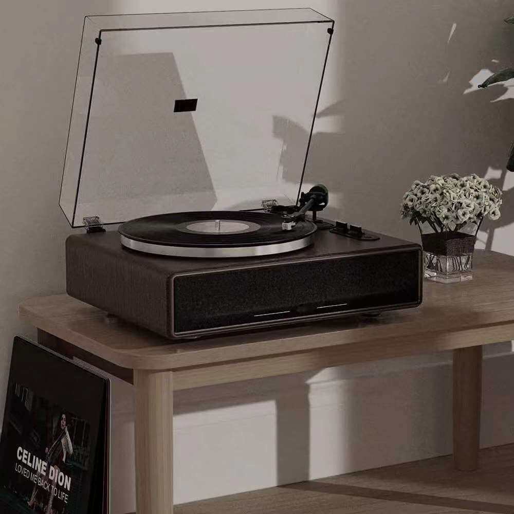 New to Vinyl,Best Entry Level Turntable