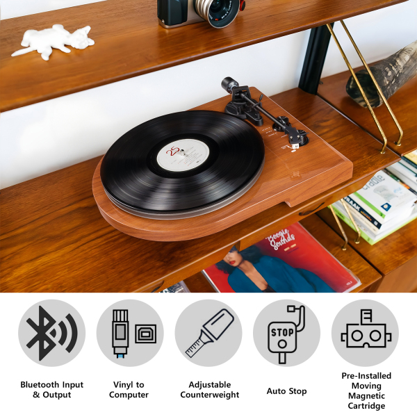 Wooden Turntable with Bluetooth Input/Output & MM Cartridge UD009 ...