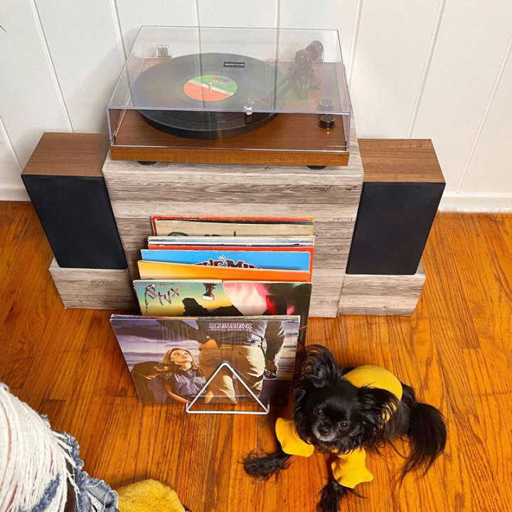 Bluetooth HiFi Turntable System with Magnetic Cartridge SY101