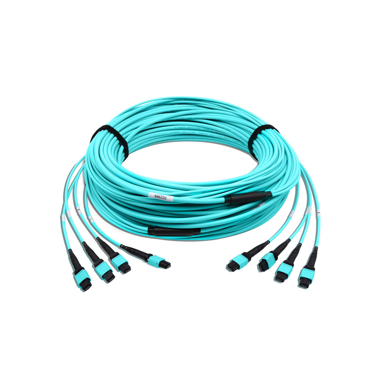 MPO/MTP Trunk Cables – HeyOptics