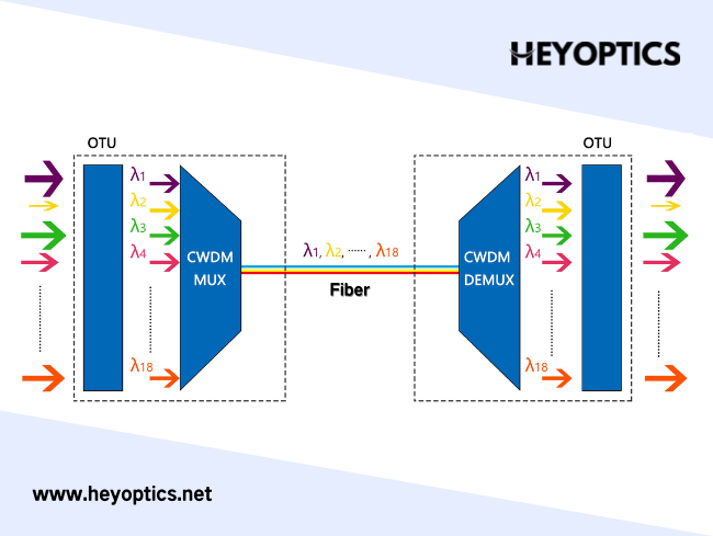 What is features of OTU in the application of WDM?