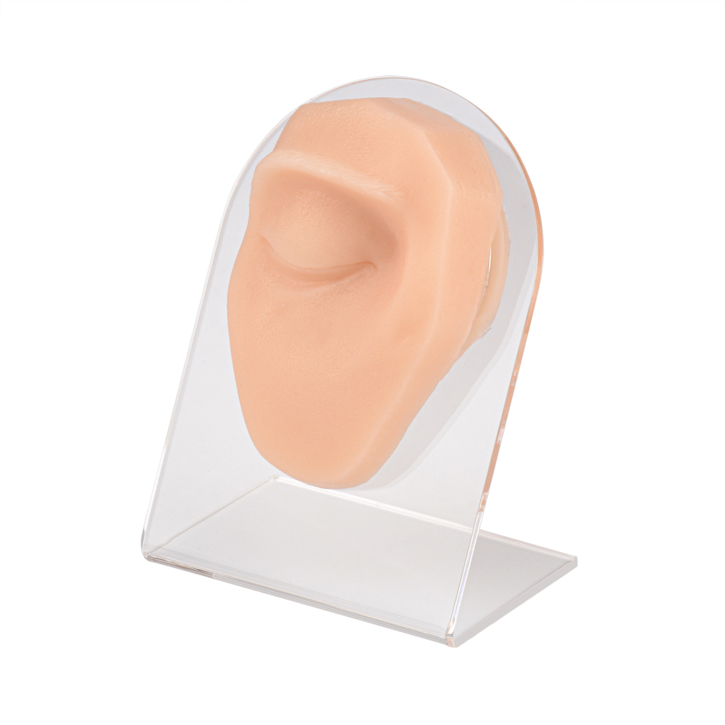 Silicone Eye Model for Eyebrow Piercing & Jewelry Display – Ultrassist